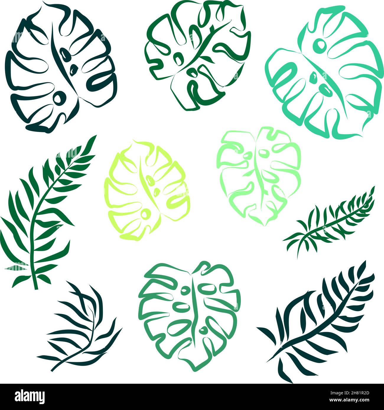 clipart of bright leaves of morters and palms, drawing for independent ...