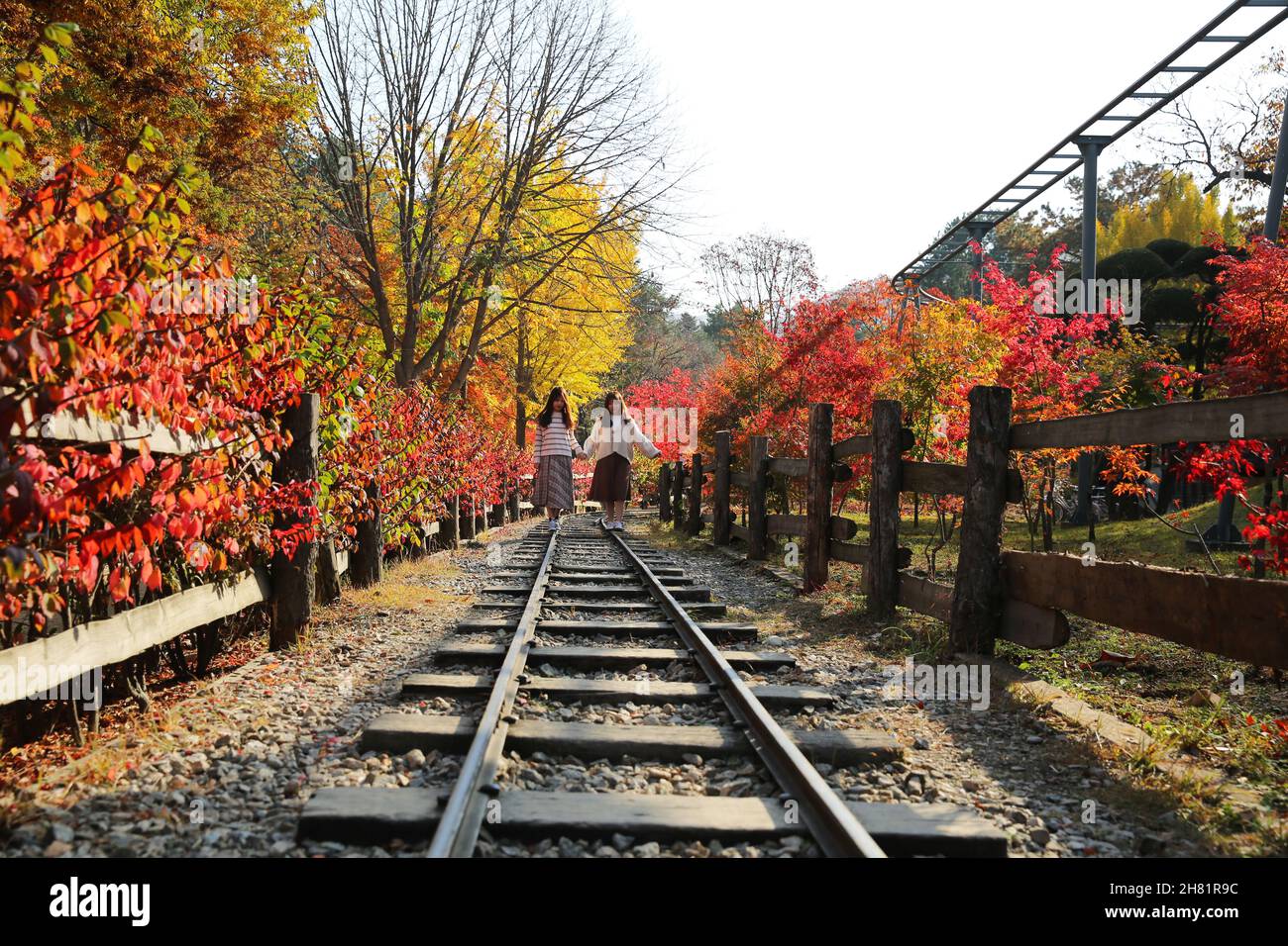 Females walking on the train rails in autumn Stock Photo - Alamy
