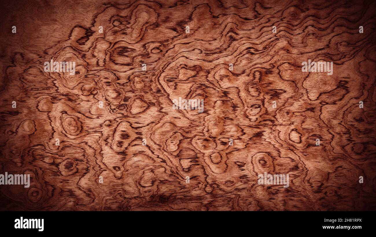 Narra Tree High Resolution Stock Photography and Images - Alamy