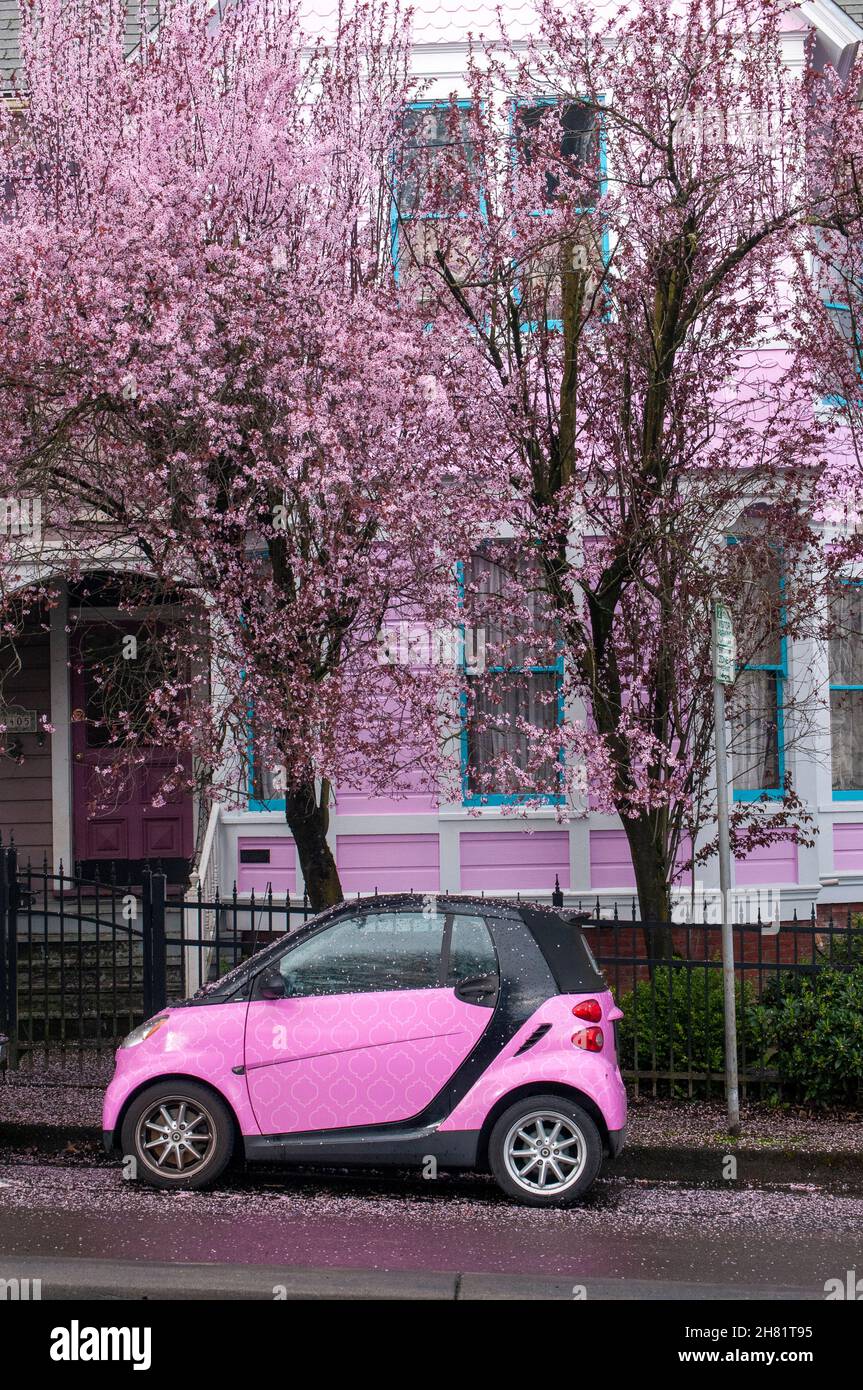 Pink smart car matches pink home Stock Photo - Alamy