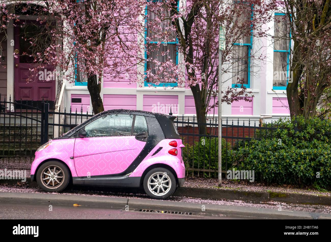 Smart tree house hi-res stock photography and images - Alamy