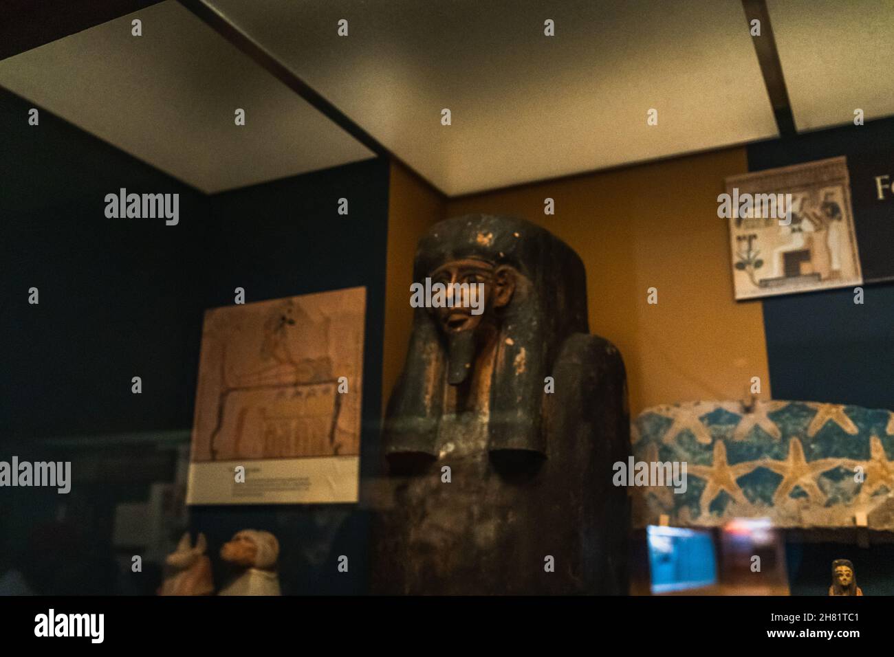 Mummy Sarcophagus in Natural History Smithsonian Stock Photo - Alamy