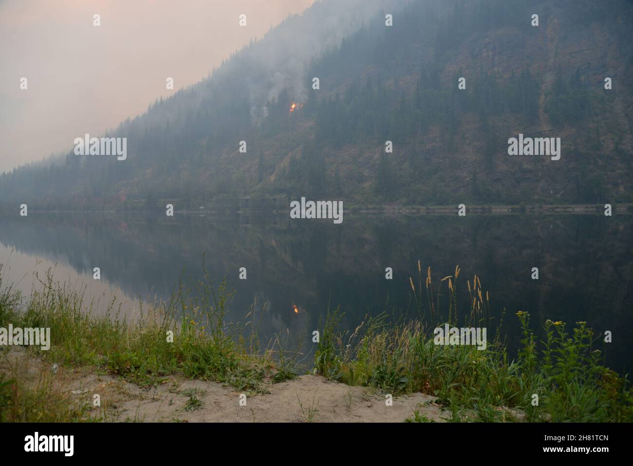 Landscape view of the wildfires devastating the forests. The Three ...
