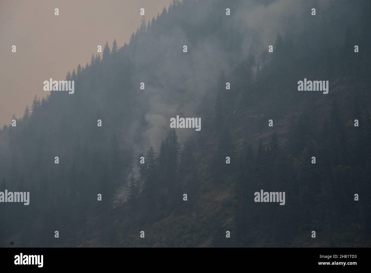 Landscape view of the forests through wildfire smoke Stock Photo - Alamy