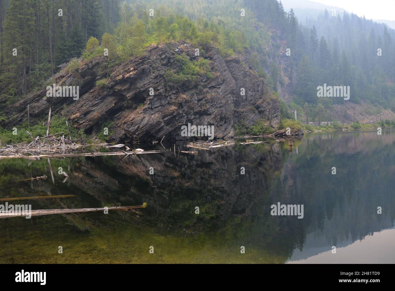 Landscape view of the wildfires devastating the forests. The Three ...