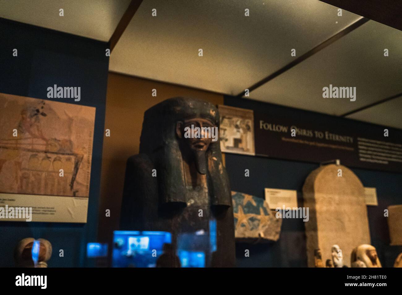 Mummy Sarcophagus in Natural History Smithsonian Stock Photo - Alamy