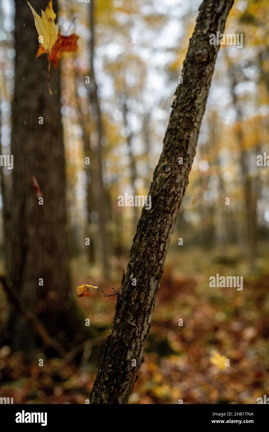 Colors of the midwest autumn hi-res stock photography and images - Alamy