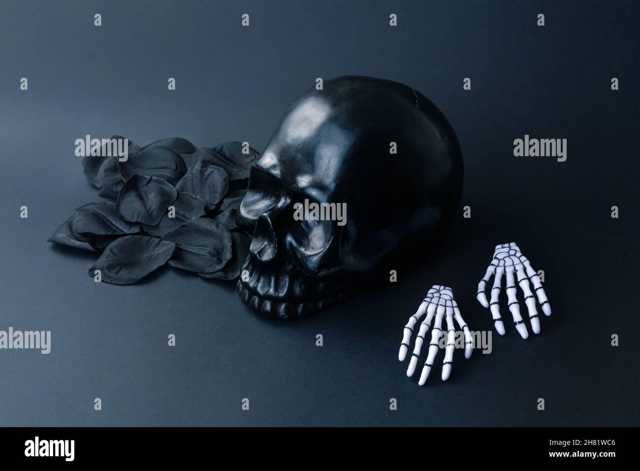 Anatomy black and hi-res stock photography and images - Alamy