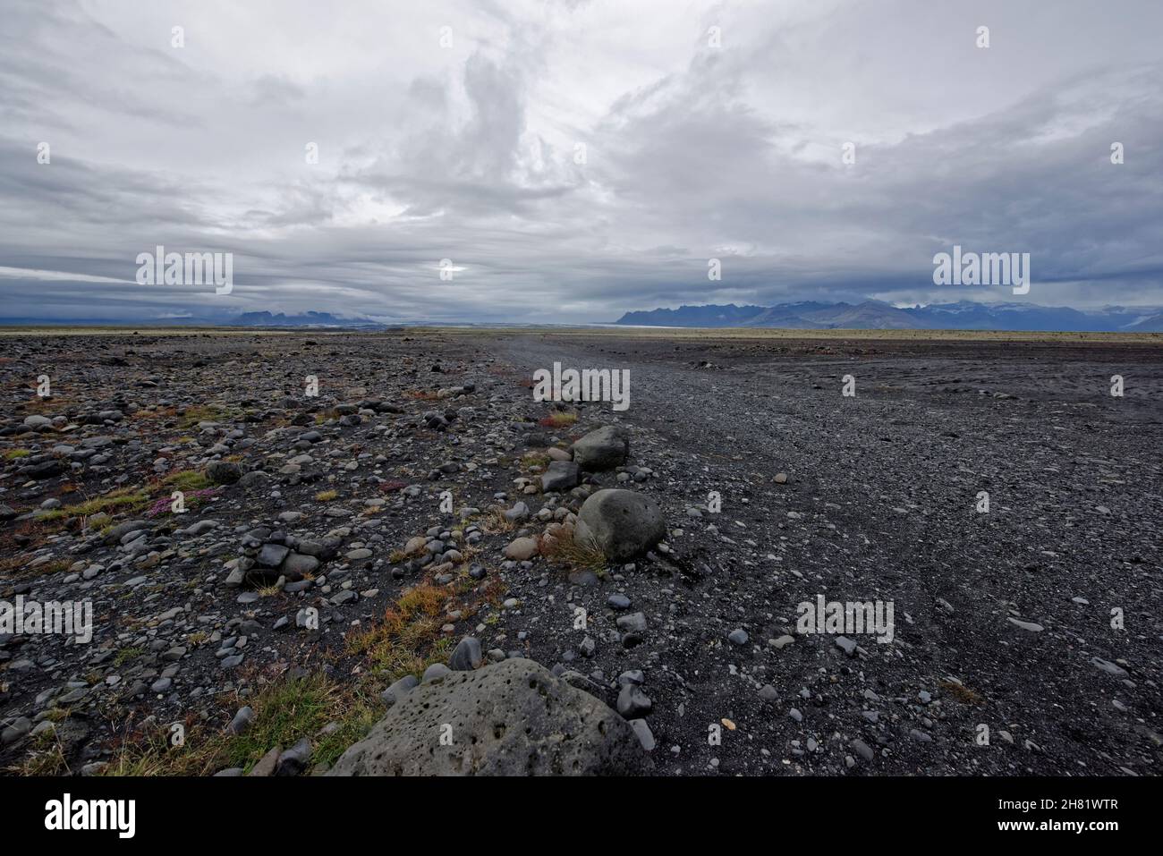 Bizarre lava formations surrounded by cotton grass, Skaelingar mountain ...