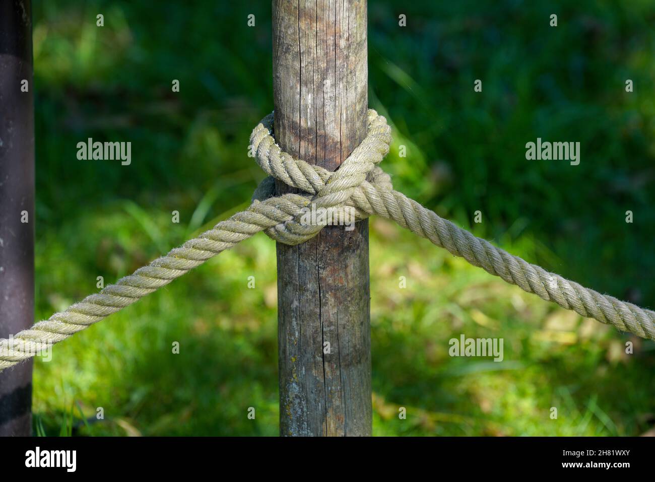 Knotted rope in the wooden pole Stock Photo - Alamy