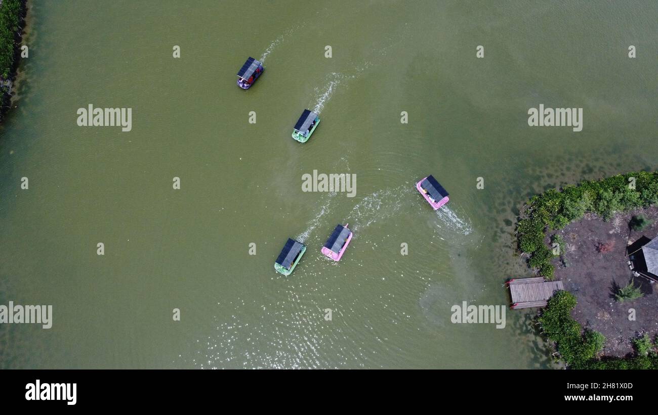 Aerial view of a lake and boats floating near mangrove plants Stock ...