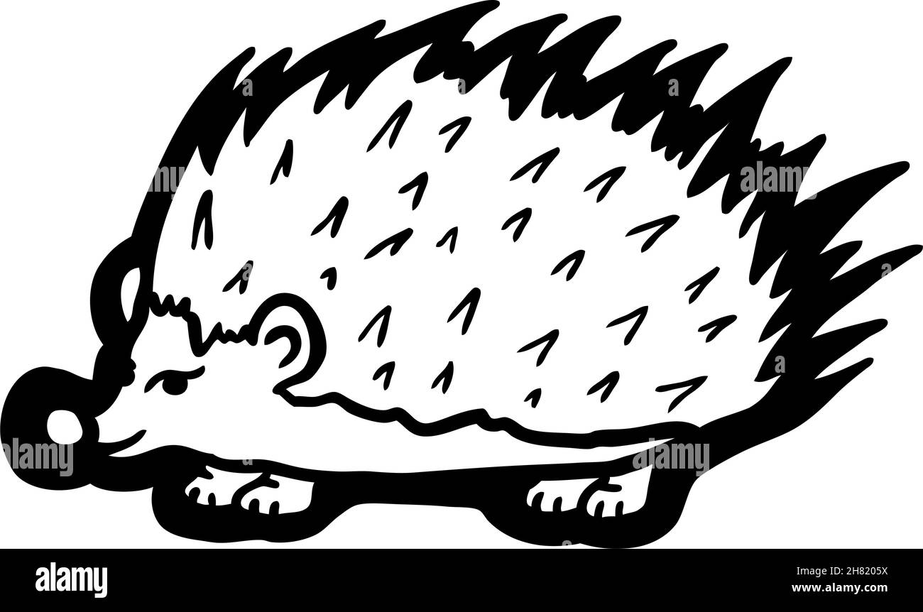 Painted hedgehog, vector illustration Stock Vector Image & Art - Alamy
