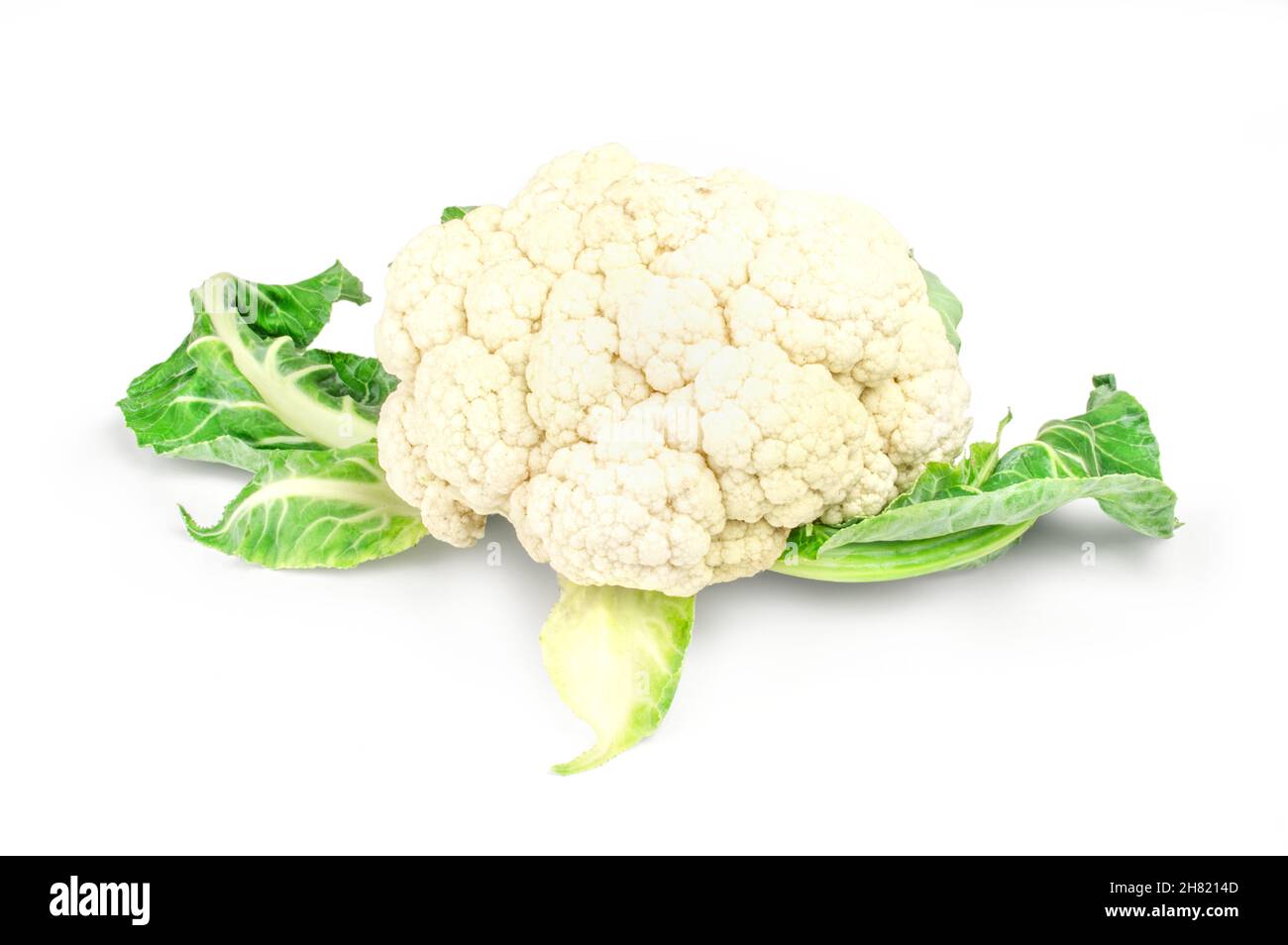 Cauliflower isolated on white background Stock Photo - Alamy