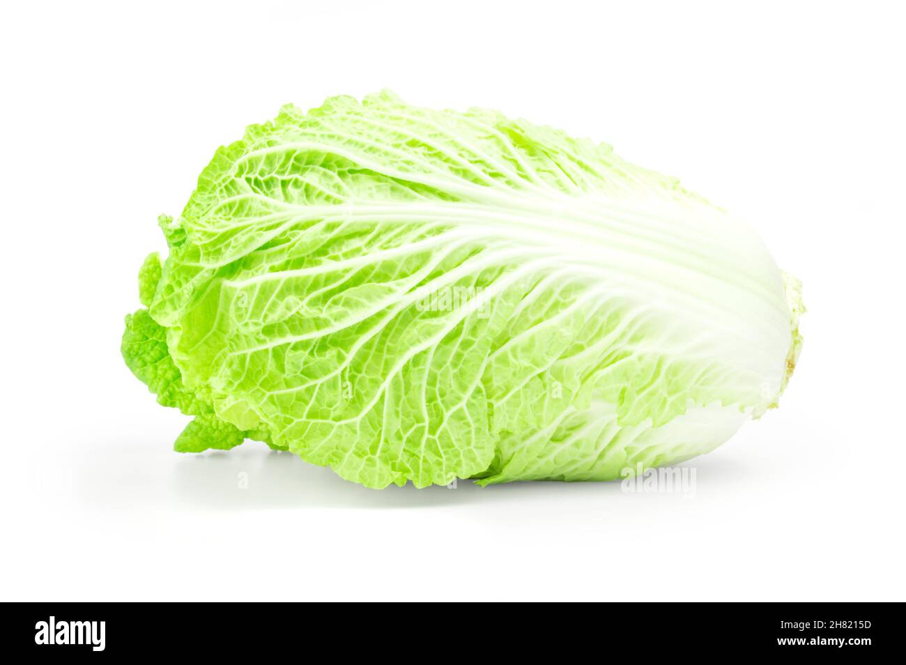 One whole chinese cabbage on a white background Stock Photo - Alamy