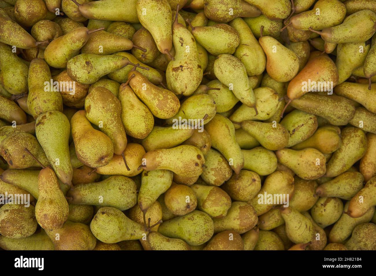 Bins of pears hi-res stock photography and images - Alamy