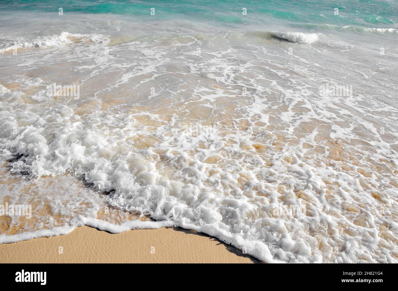 Sandy beach and foamy surf Stock Photo - Alamy