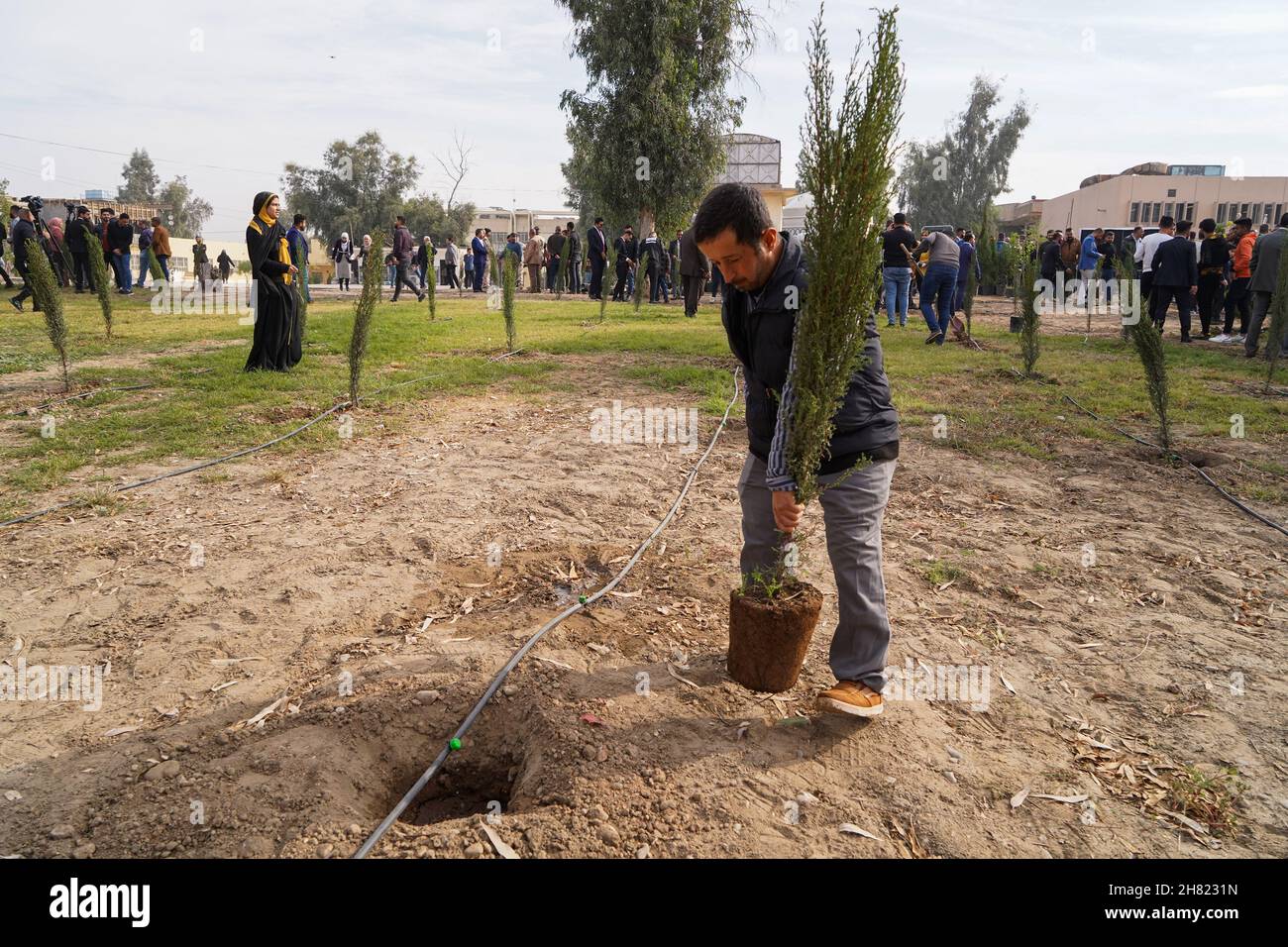 Mosul, Iraq. 25th Nov, 2021. A man seen planting a tree on the Northern ...
