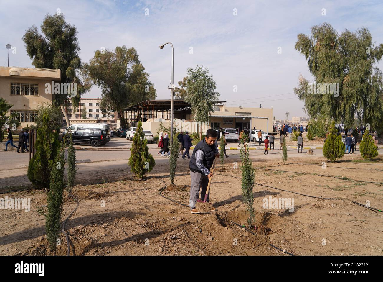 Mosul, Iraq. 25th Nov, 2021. A man seen planting a tree on the Northern ...