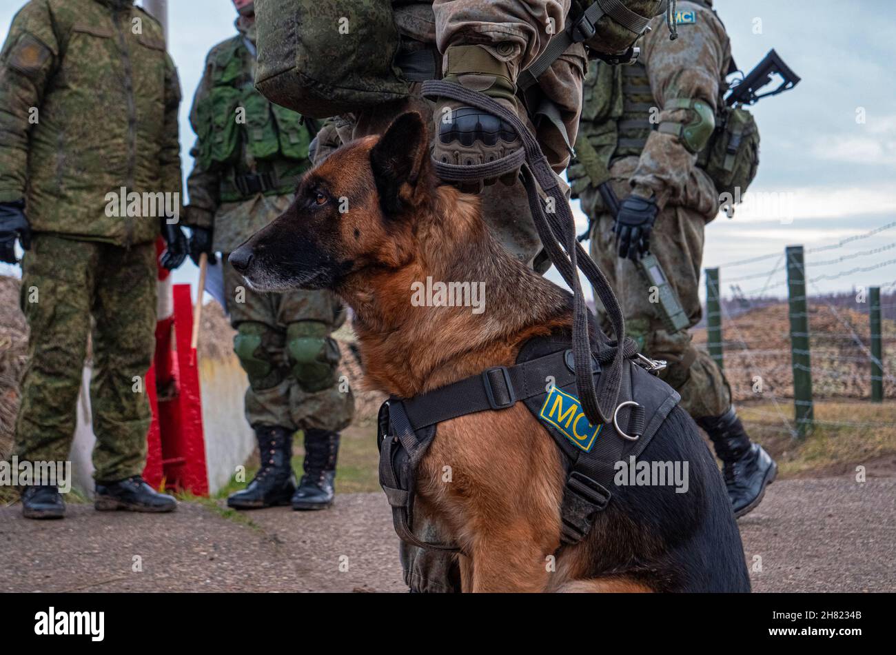 Domestic armed forces hi-res stock photography and images - Alamy