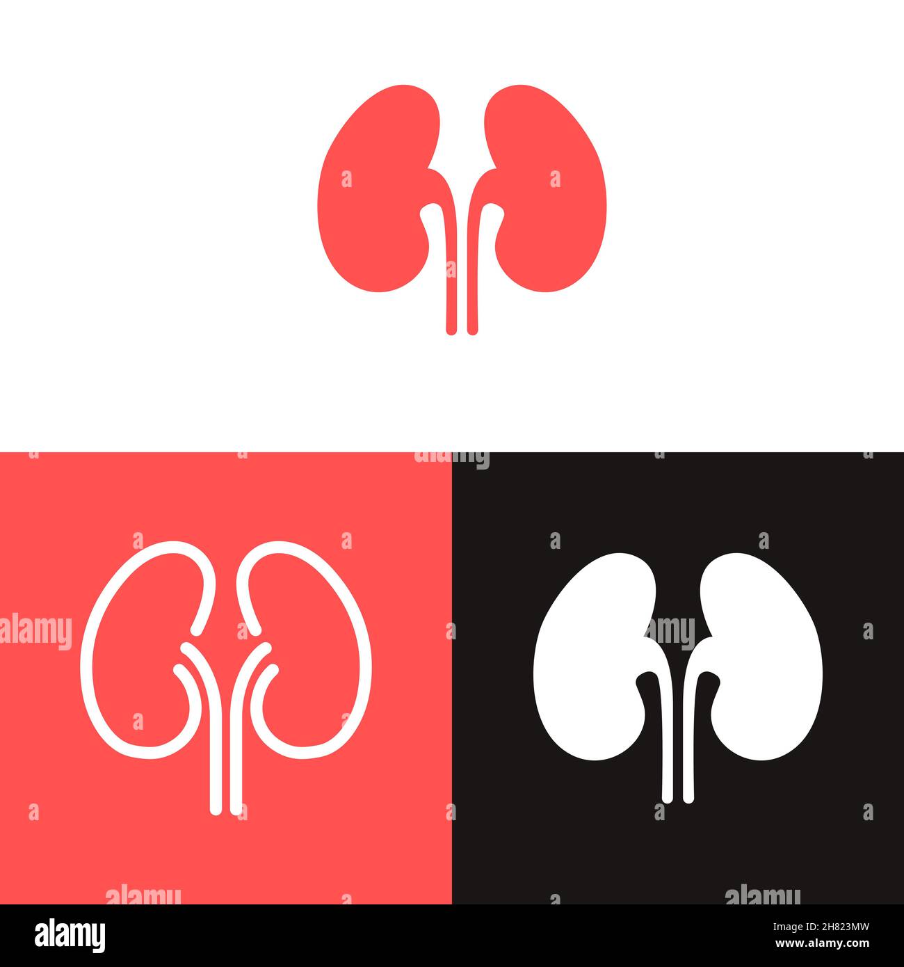 Kidney renal flat realistic icon. Human kidney vector organ icon ...