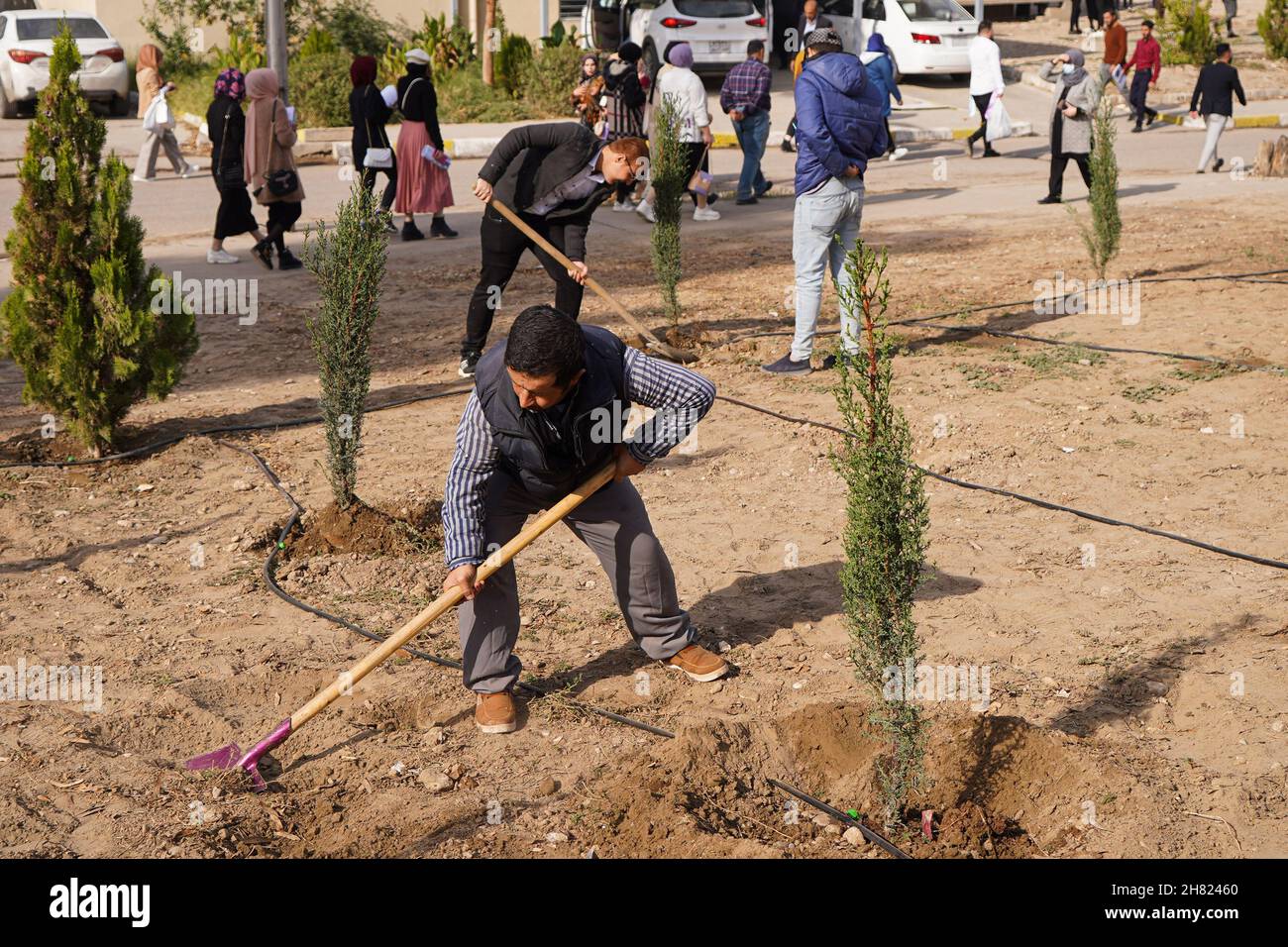 A man seen planting a tree on the Northern Technical University campus ...