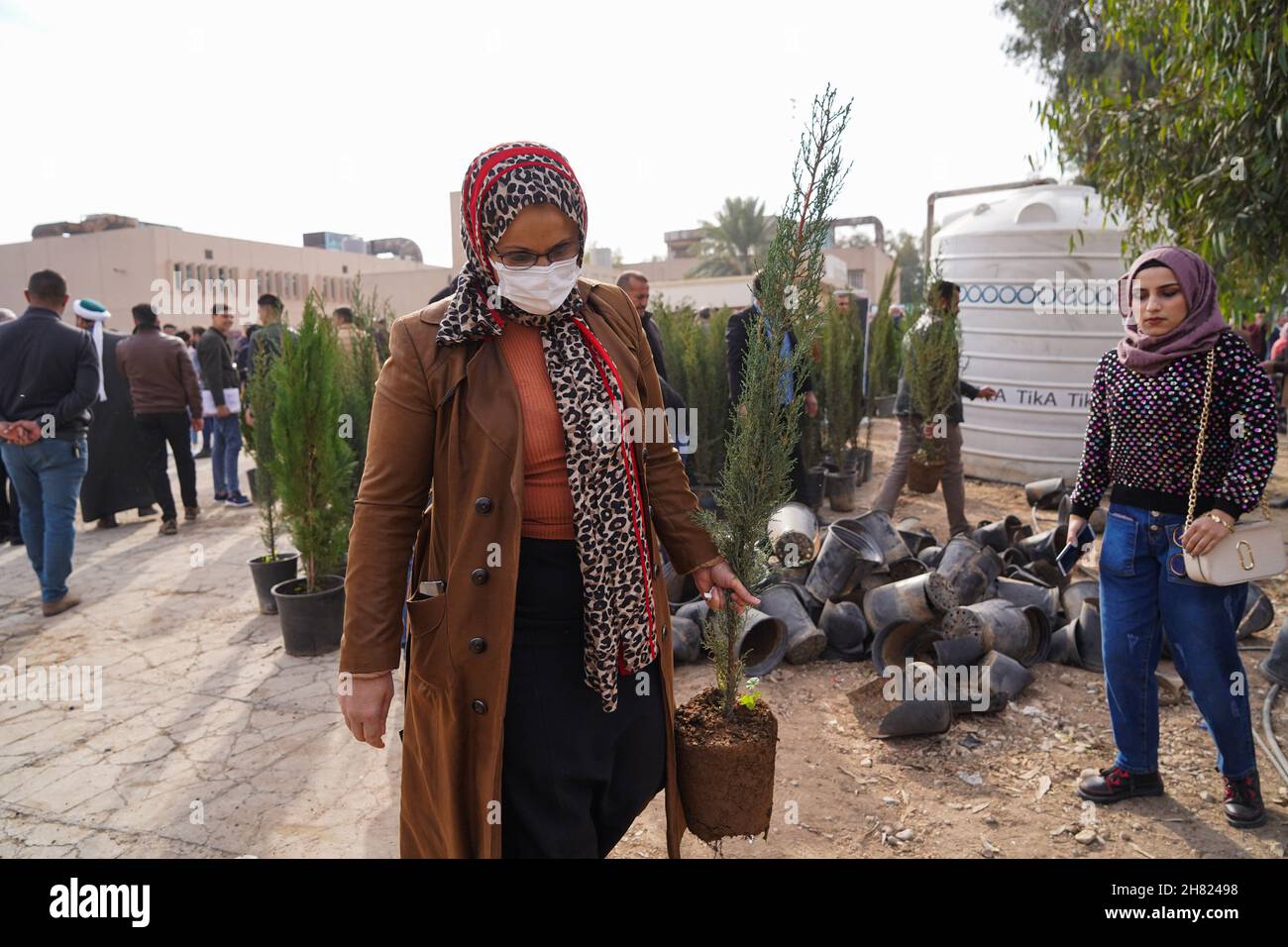 A woman seen carrying a tree for planting on the Northern Technical ...