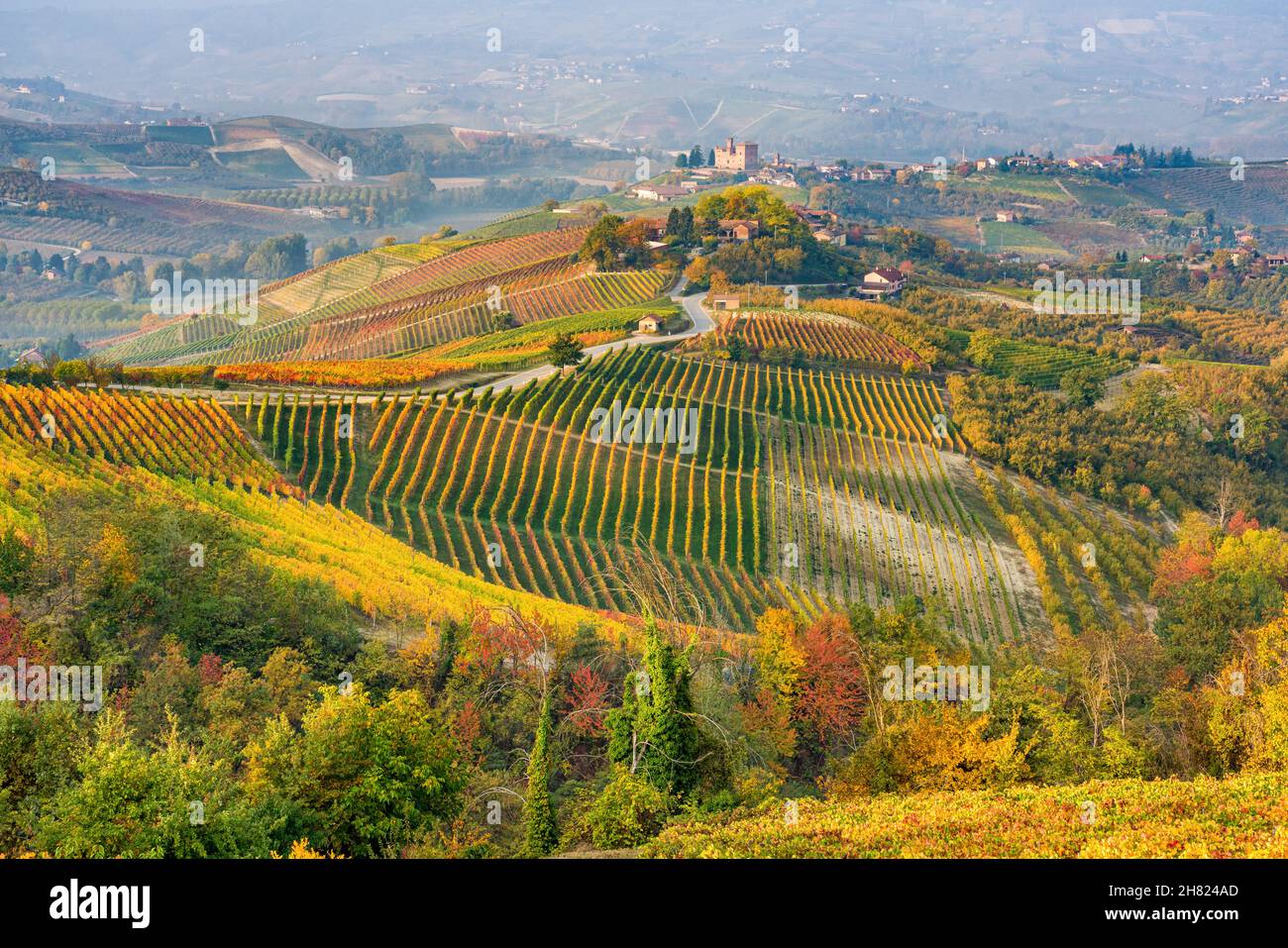 Beautiful hills and vineyards during fall season surrounding Grinzane ...