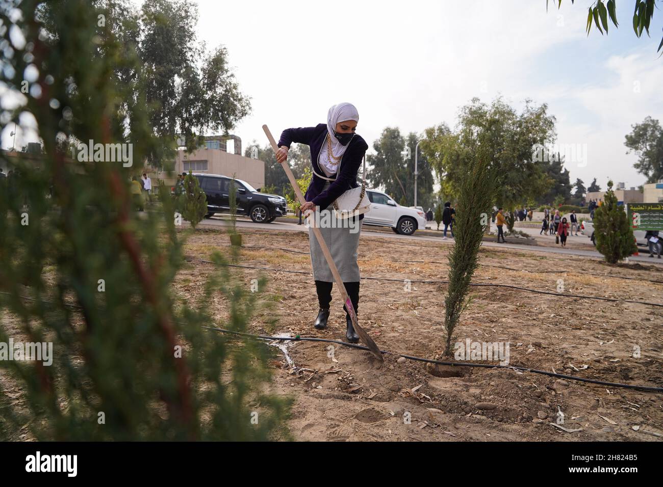 A woman seen planting a tree on the Northern Technical University ...