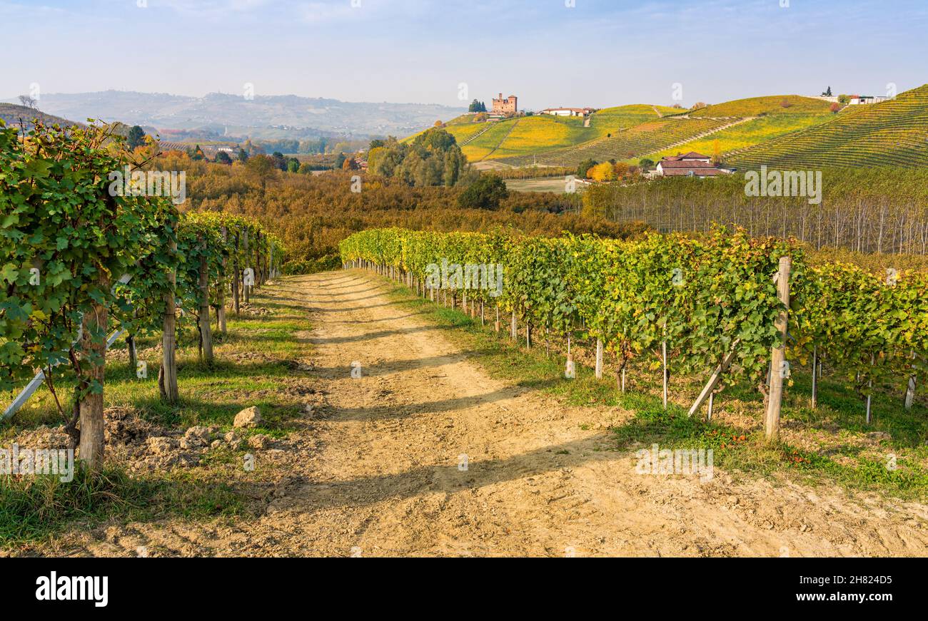Beautiful hills and vineyards during fall season surrounding Grinzane ...