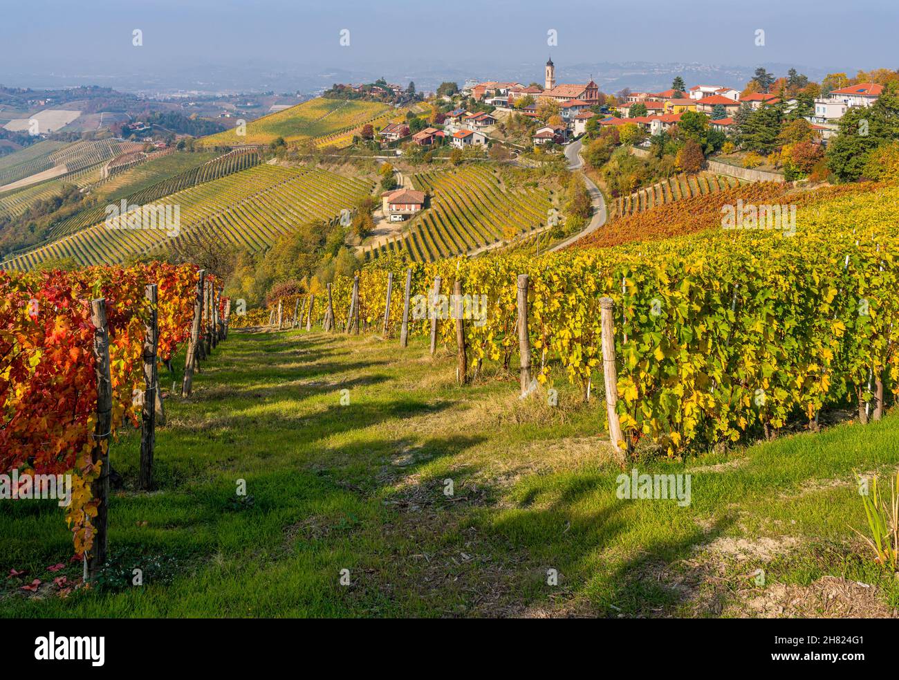 Beautiful hills and vineyards during fall season surrounding Treiso ...