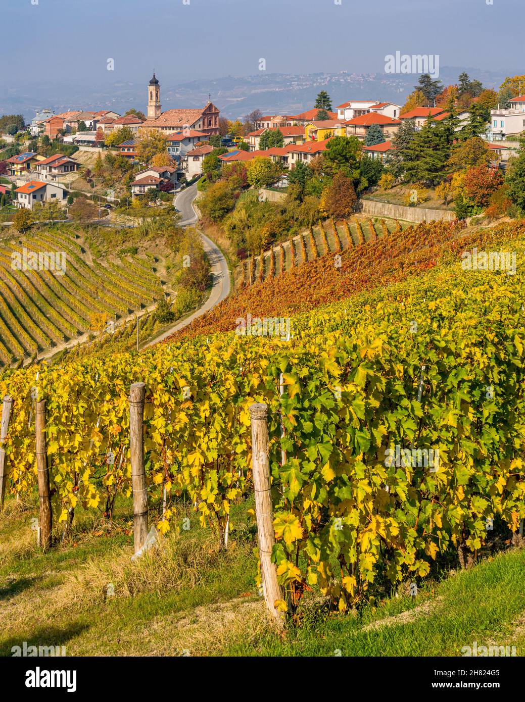 Beautiful hills and vineyards during fall season surrounding Treiso ...