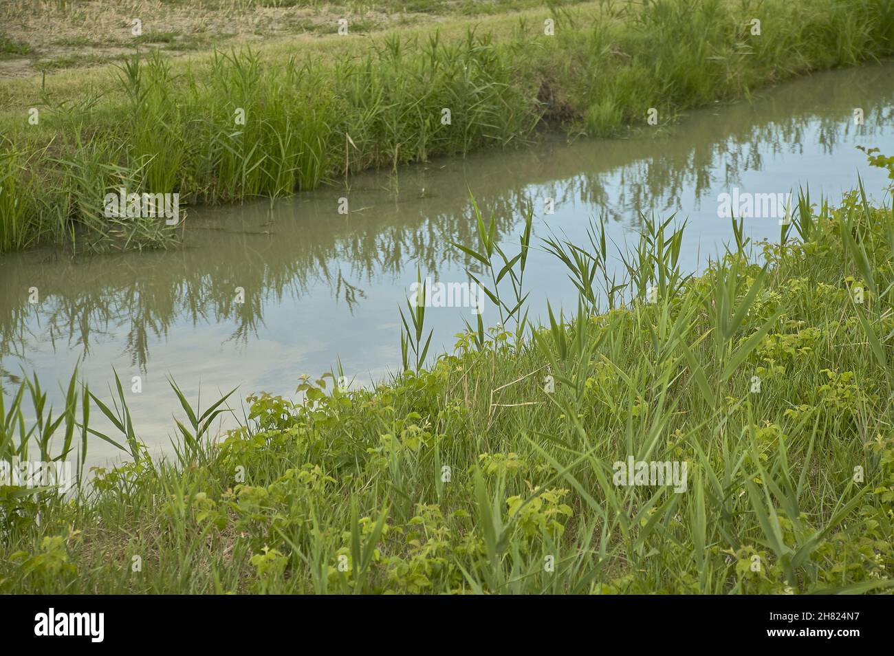The small water course Stock Photo - Alamy