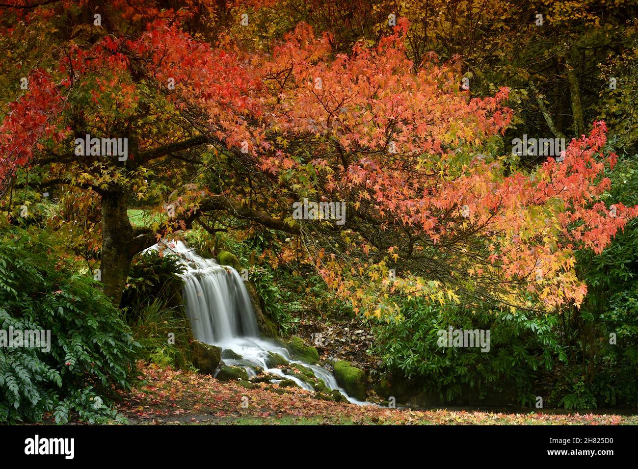 Little bredy dorset hi-res stock photography and images - Alamy