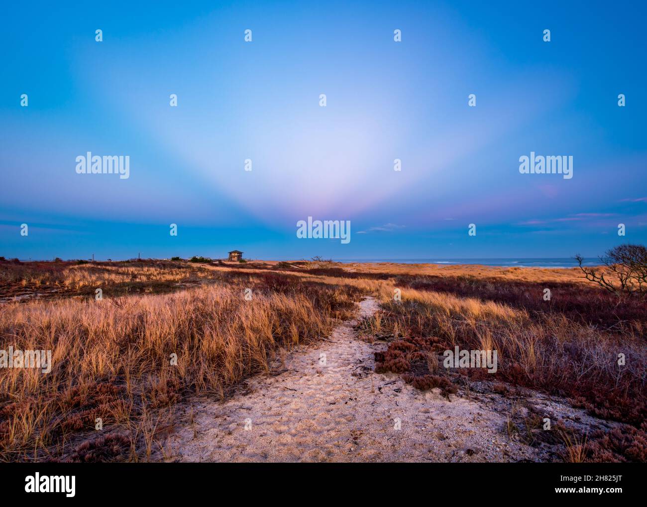 Sandy Beach Path at sunset Stock Photo - Alamy