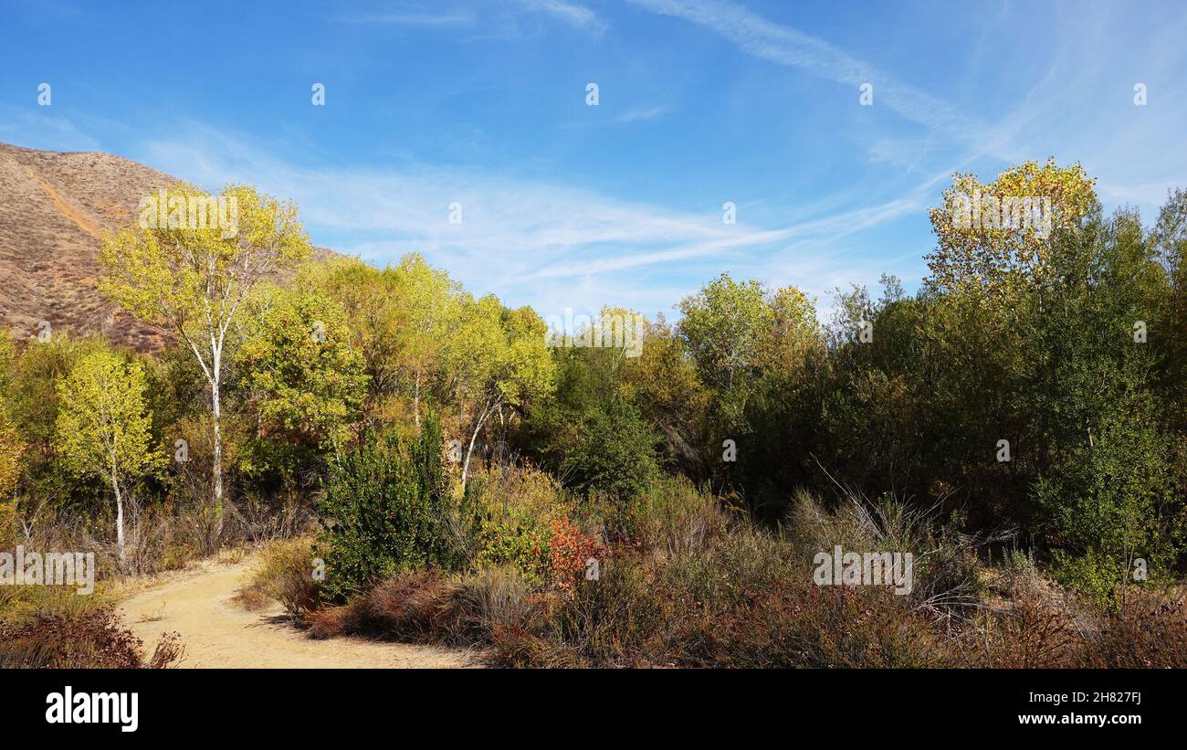 Fall colors along hiking trail in southern California Stock Photo - Alamy