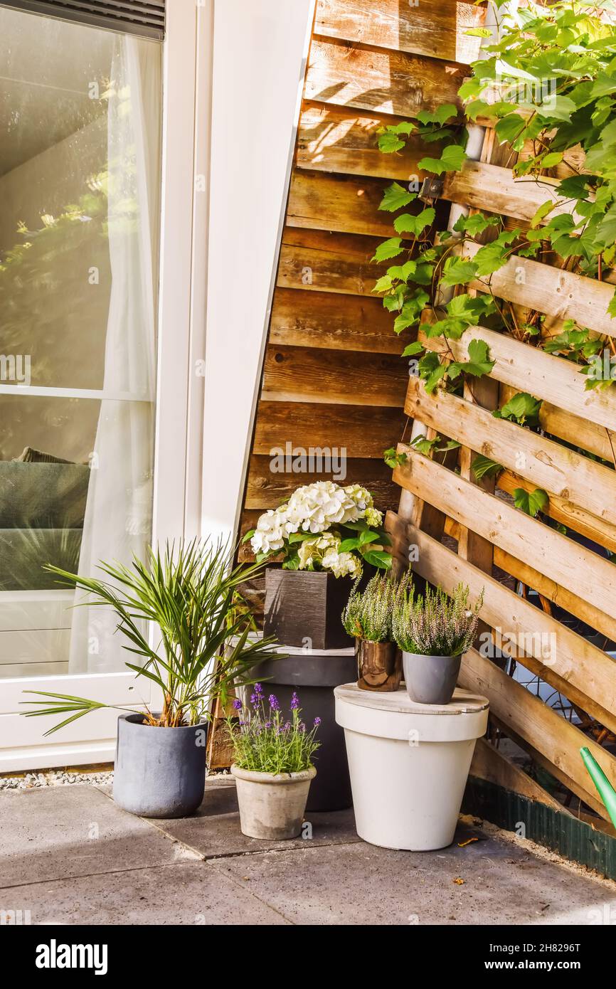 Pots in courtyard hi-res stock photography and images - Alamy