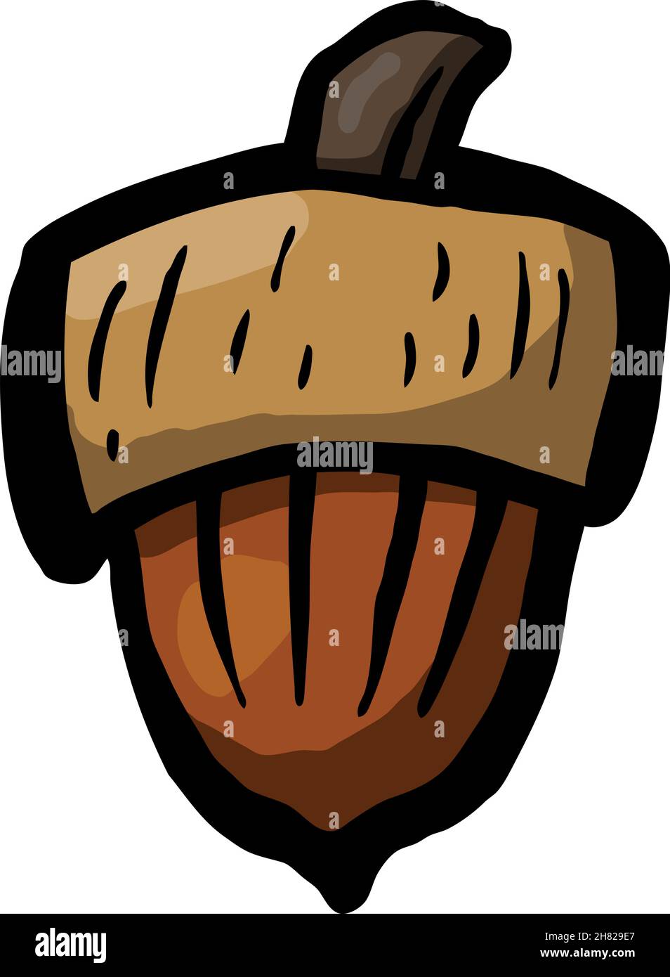 Painted cartoon of acorn, vector illustration Stock Vector Image & Art ...