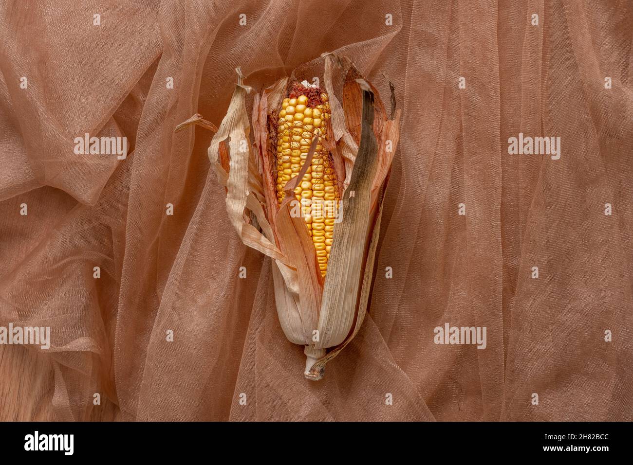 Tulle cloth hi-res stock photography and images - Alamy