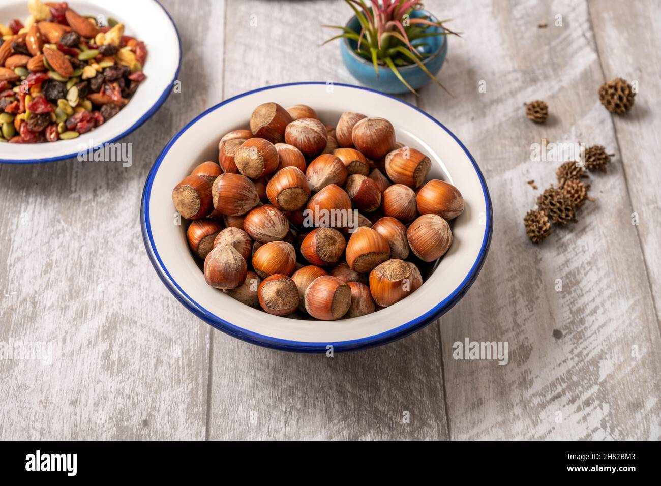 Nux vector hi-res stock photography and images - Alamy