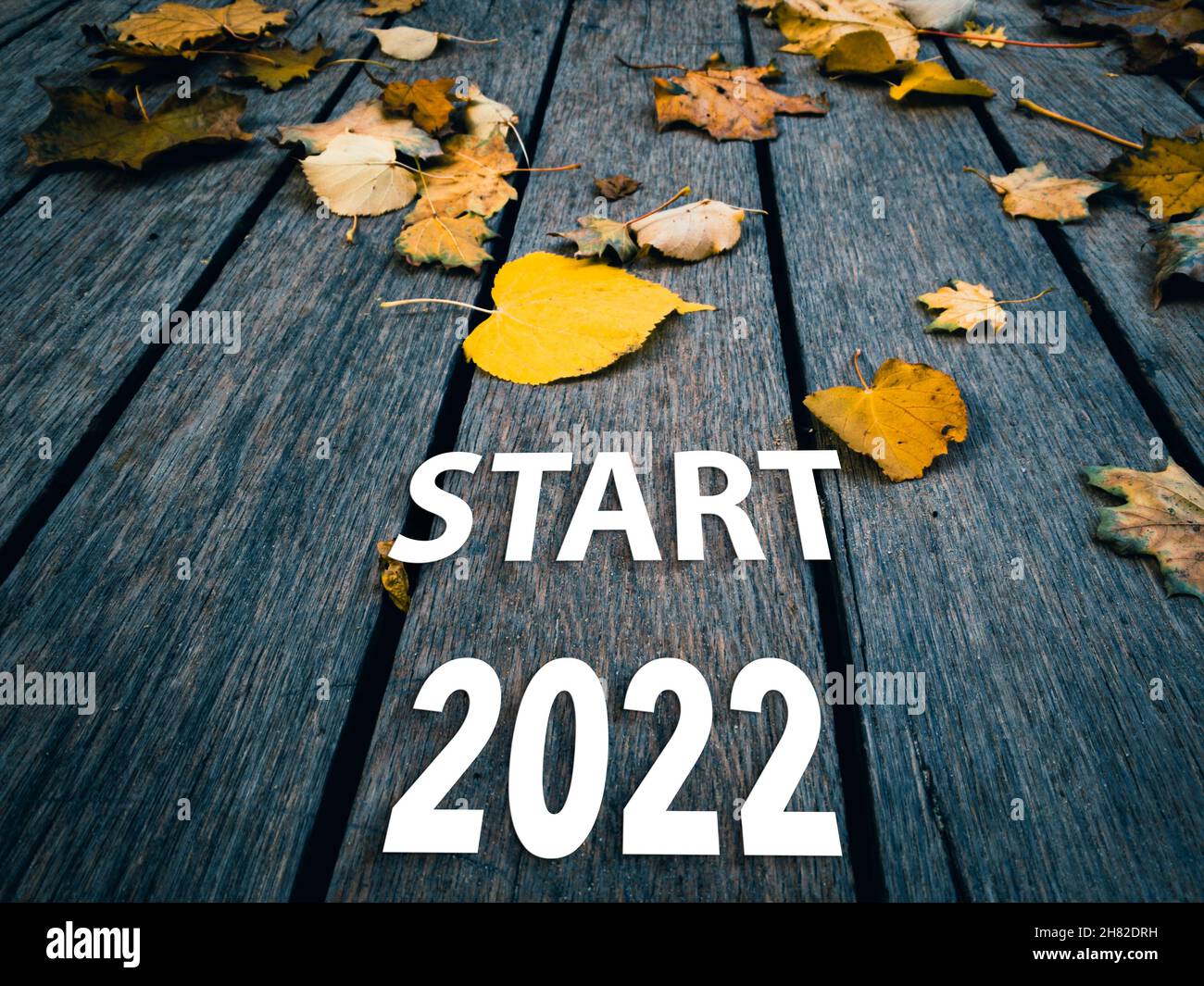 Autumn Begins 2022