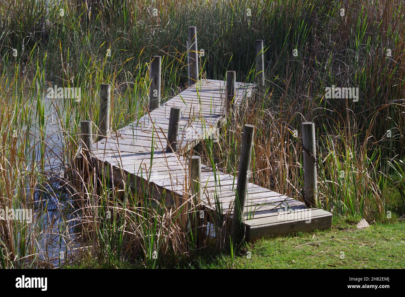 Small jetty at Clayton Bay, Lake Alexandrina, South Australia Stock ...