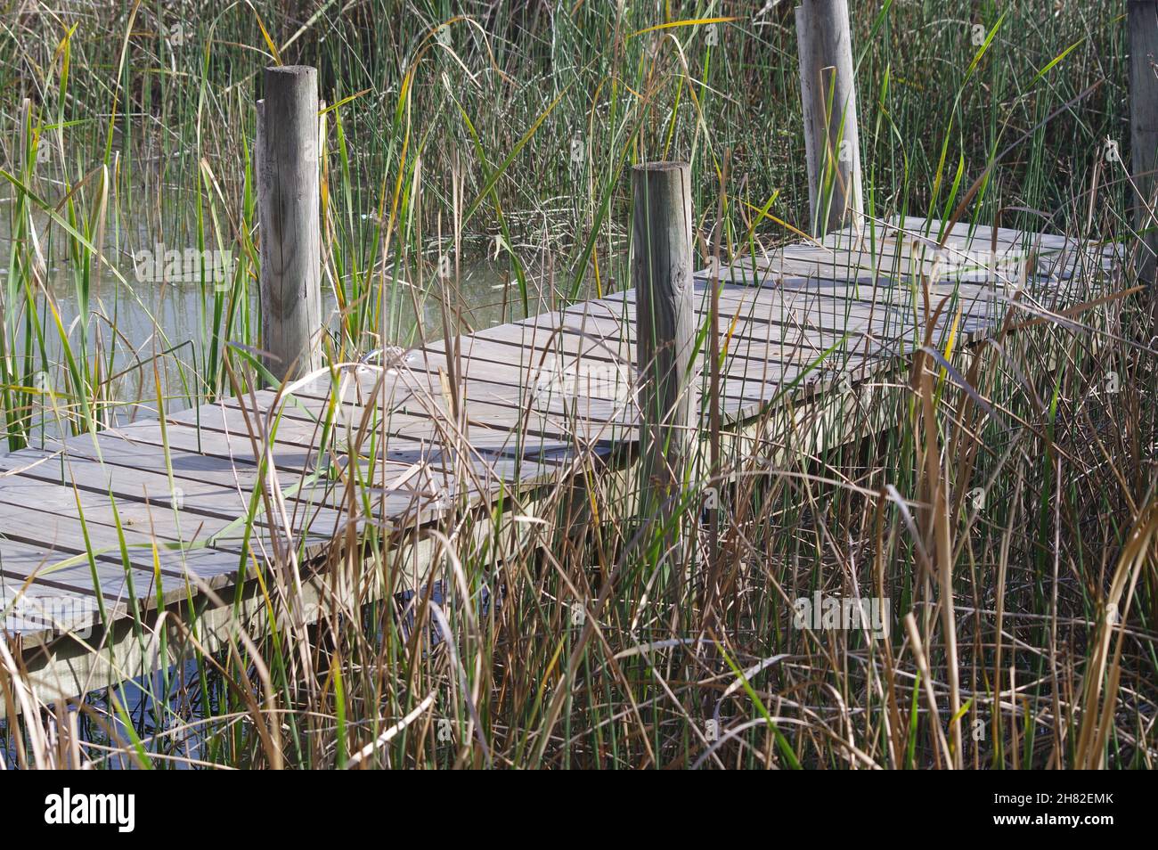 Small jetty at Clayton Bay, Lake Alexandrina, South Australia Stock ...