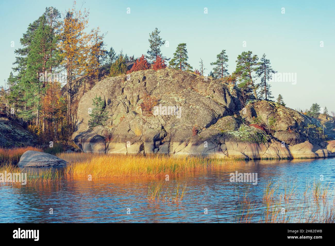 Trees on the cliffs of Lake Ladoga at evening time. Republic of Karelia ...