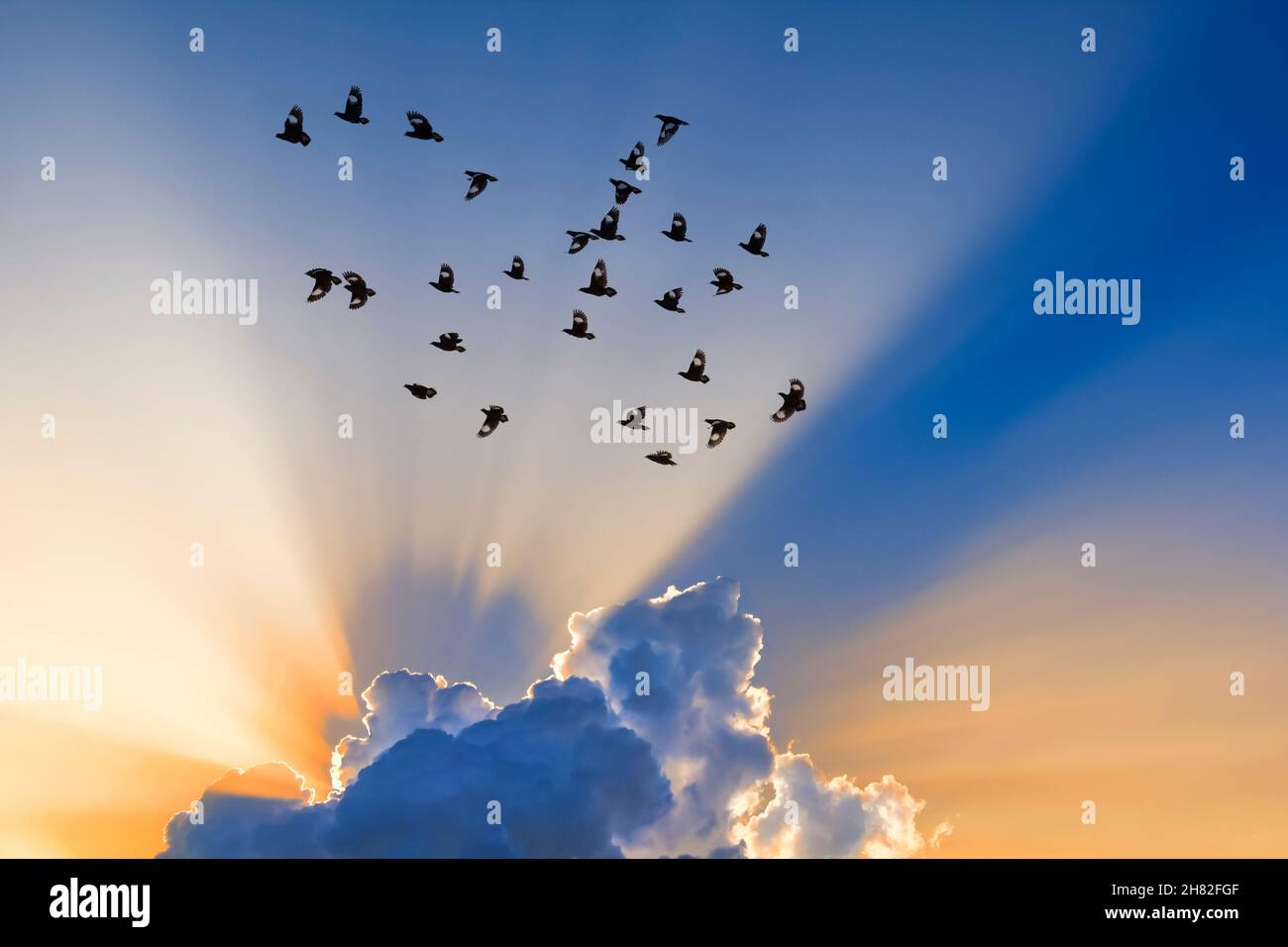 Sanrays hi-res stock photography and images - Alamy