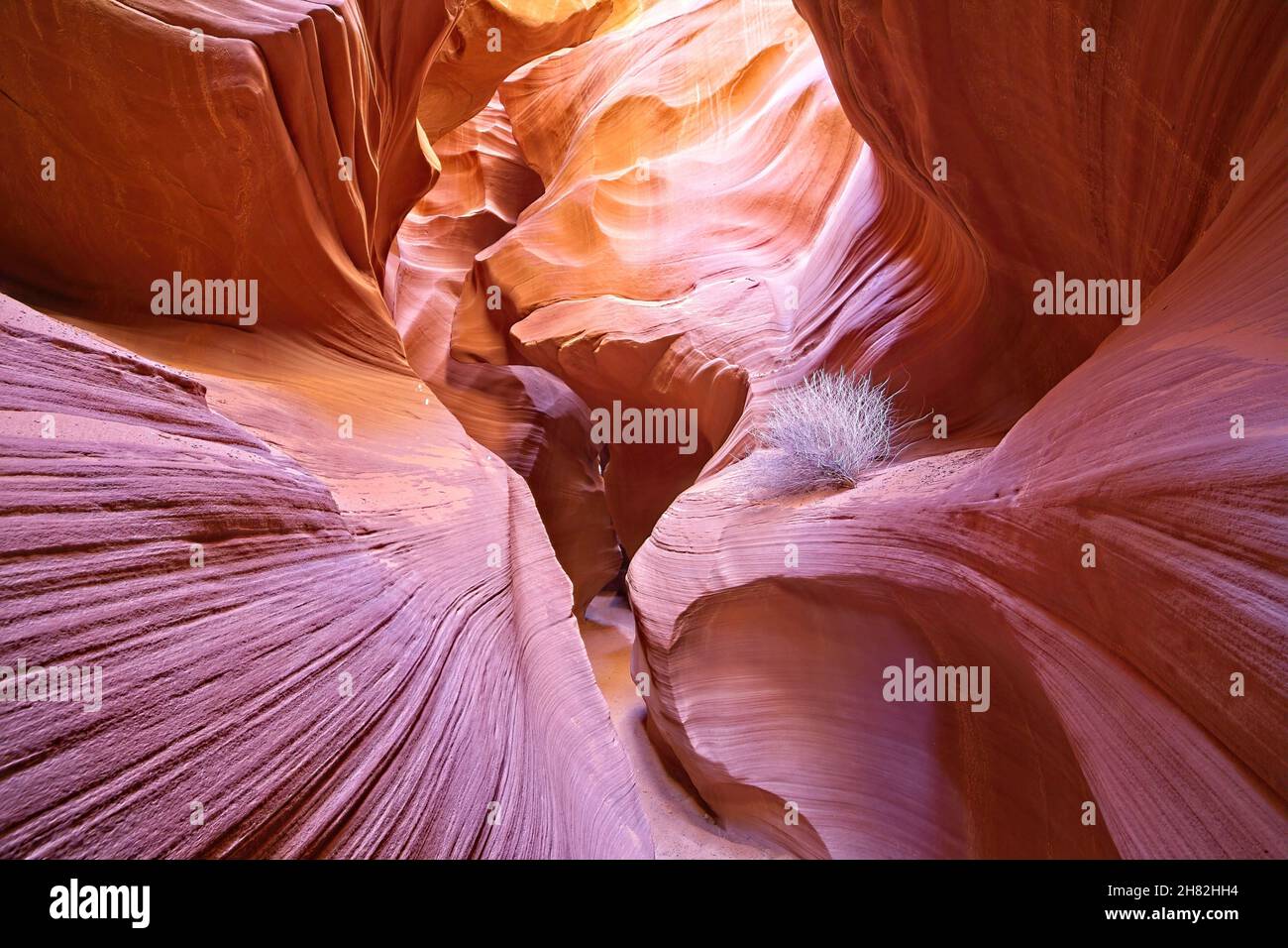 Colorful walls of the canyon for wallpaper and background Stock Photo ...