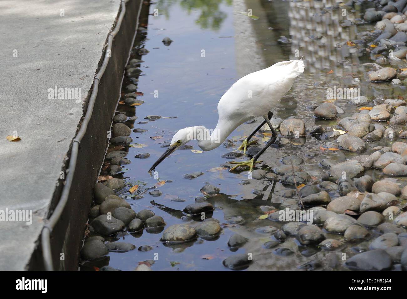 Balboa landing hi-res stock photography and images - Alamy