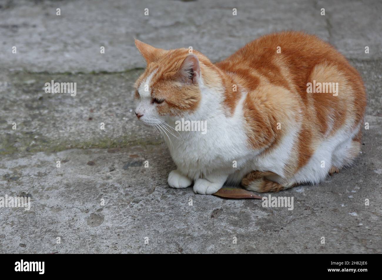 Rest outdoor hi-res stock photography and images - Alamy