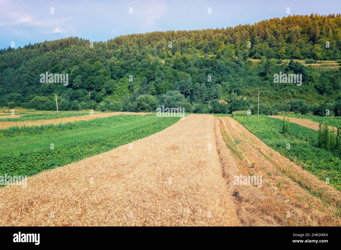 View from above of countryside. View of cultivated fields and green ...