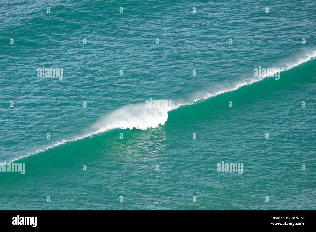 Single surf wave in line and breaking in the middle Stock Photo - Alamy