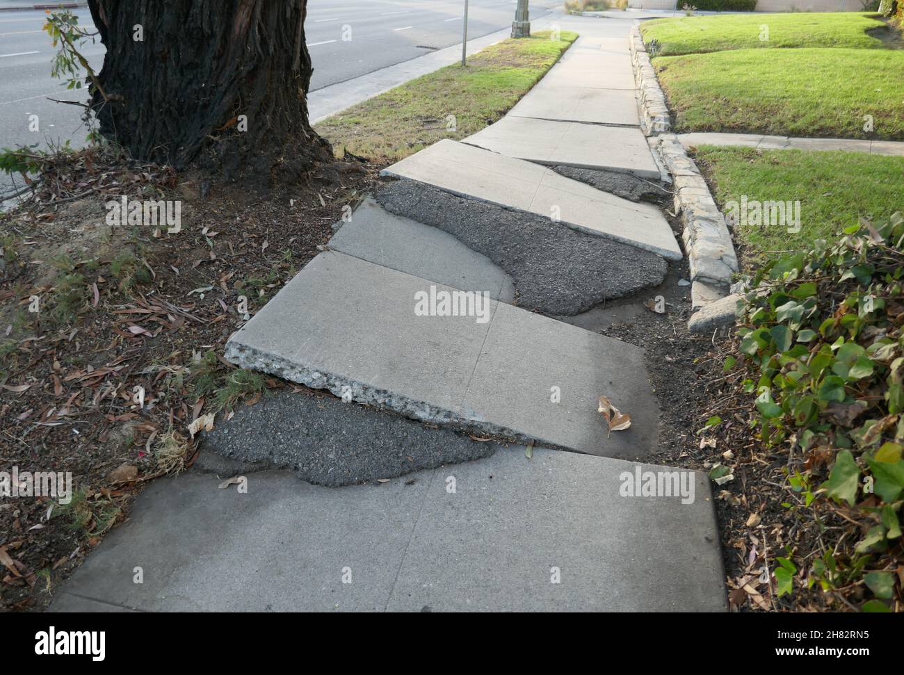 Los Angeles, California, USA 26th November 2021 A general view of ...